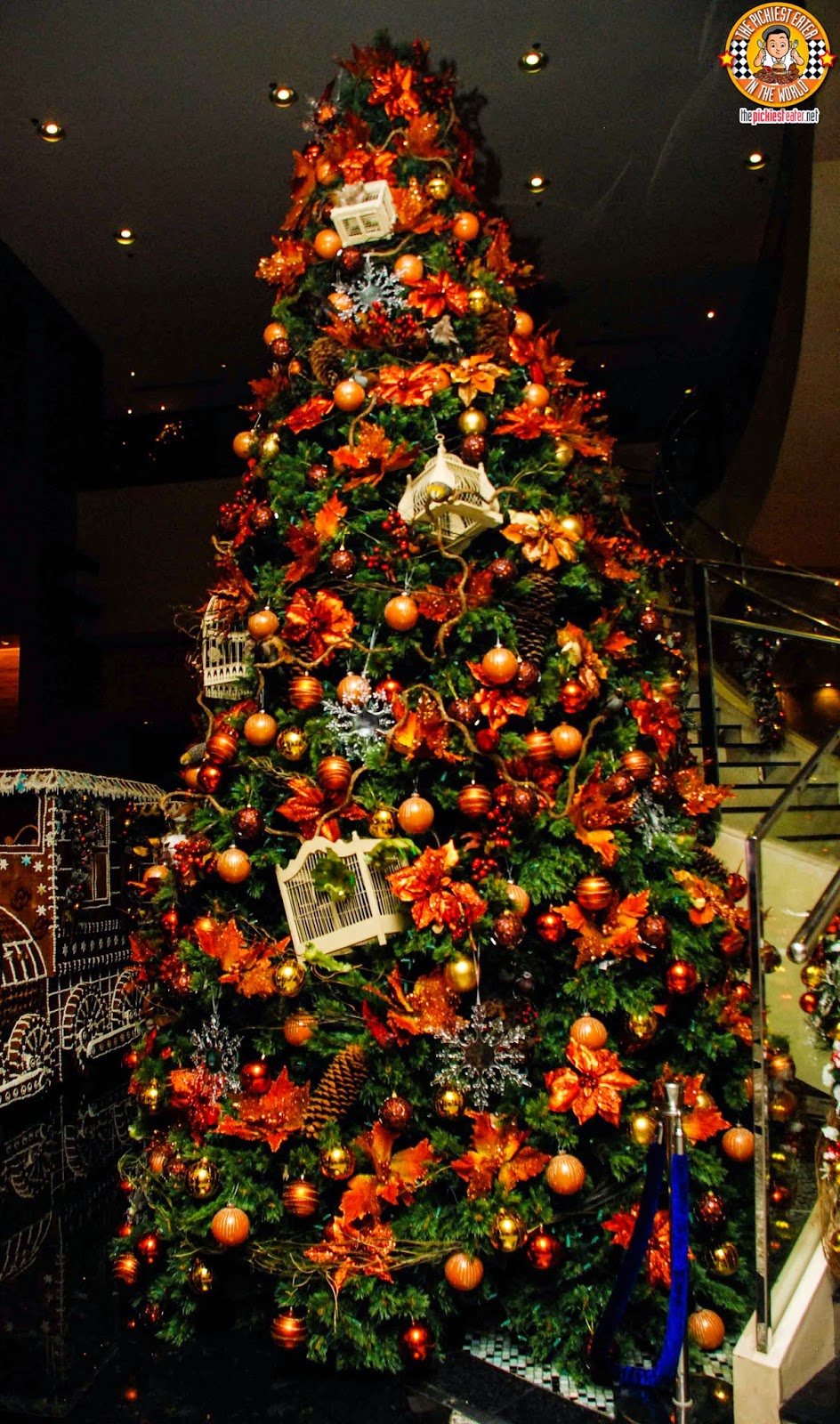 THE PICKIEST EATER IN THE WORLD: MARRIOTT TREE LIGHTING CEREMONY 2014