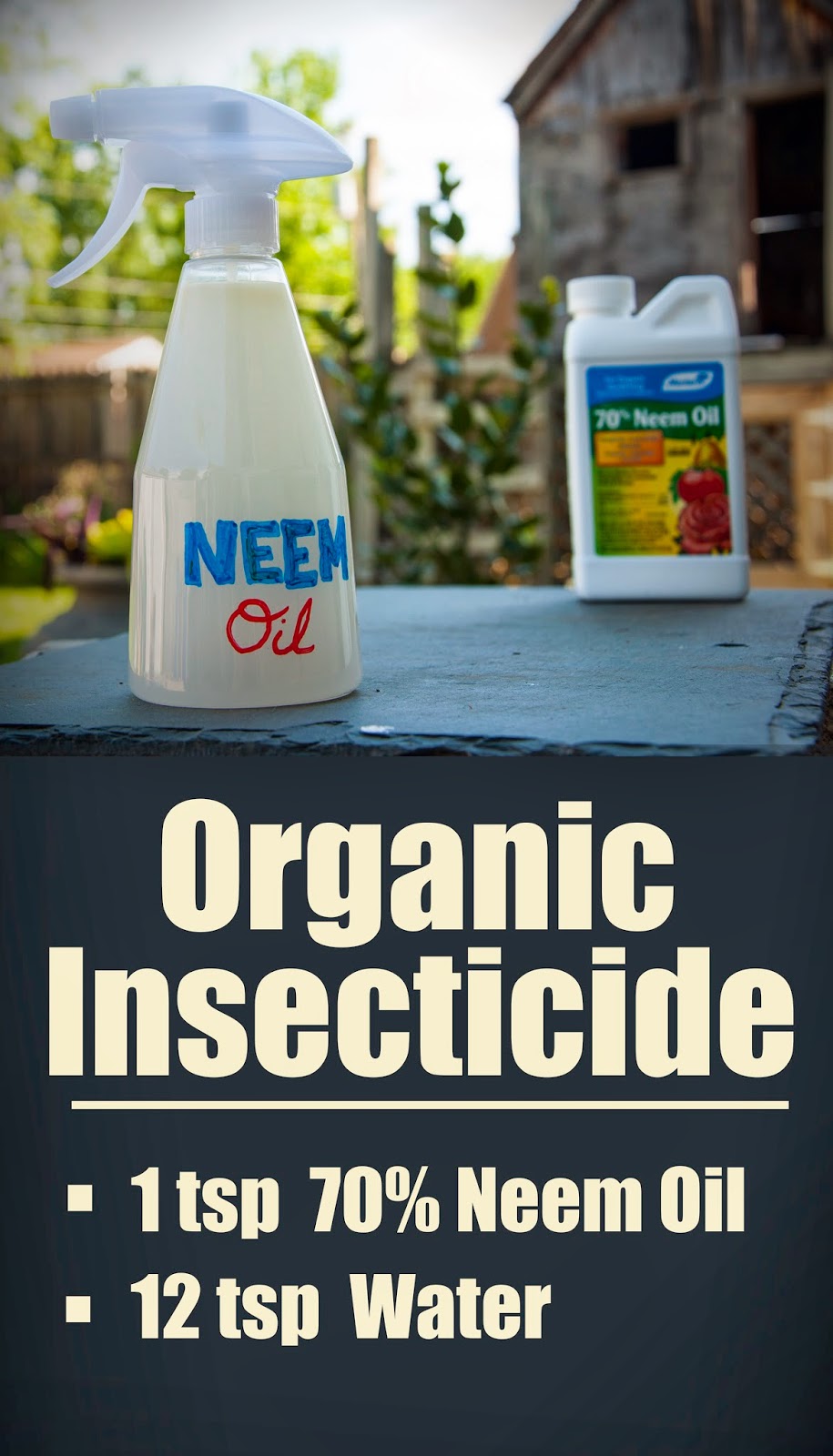 The Green Gardener: Neem - The organic insecticide
