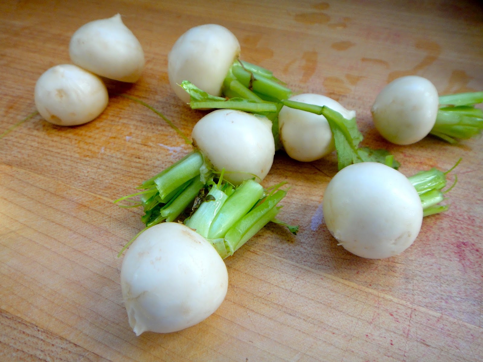 Seminte si plante de gradina hobby: Napi White