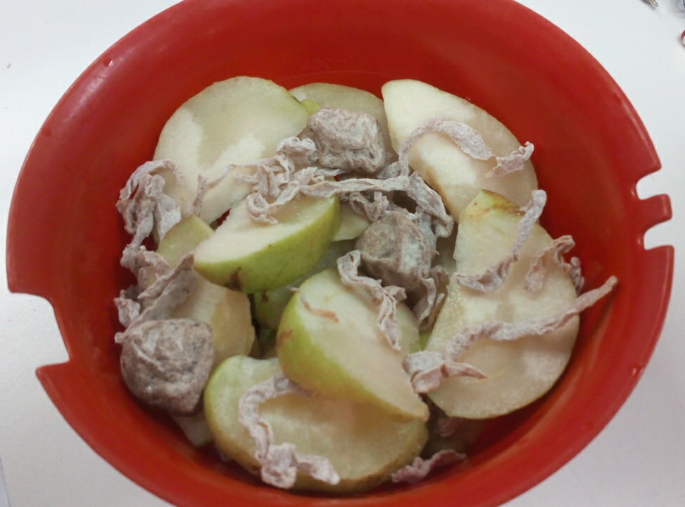 JAMBU BERSAMA JERUK BETIK & ASAM BOI