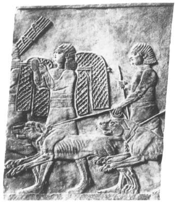 CachorrosBlogs.: Cachorros - Origem dos Molossos.