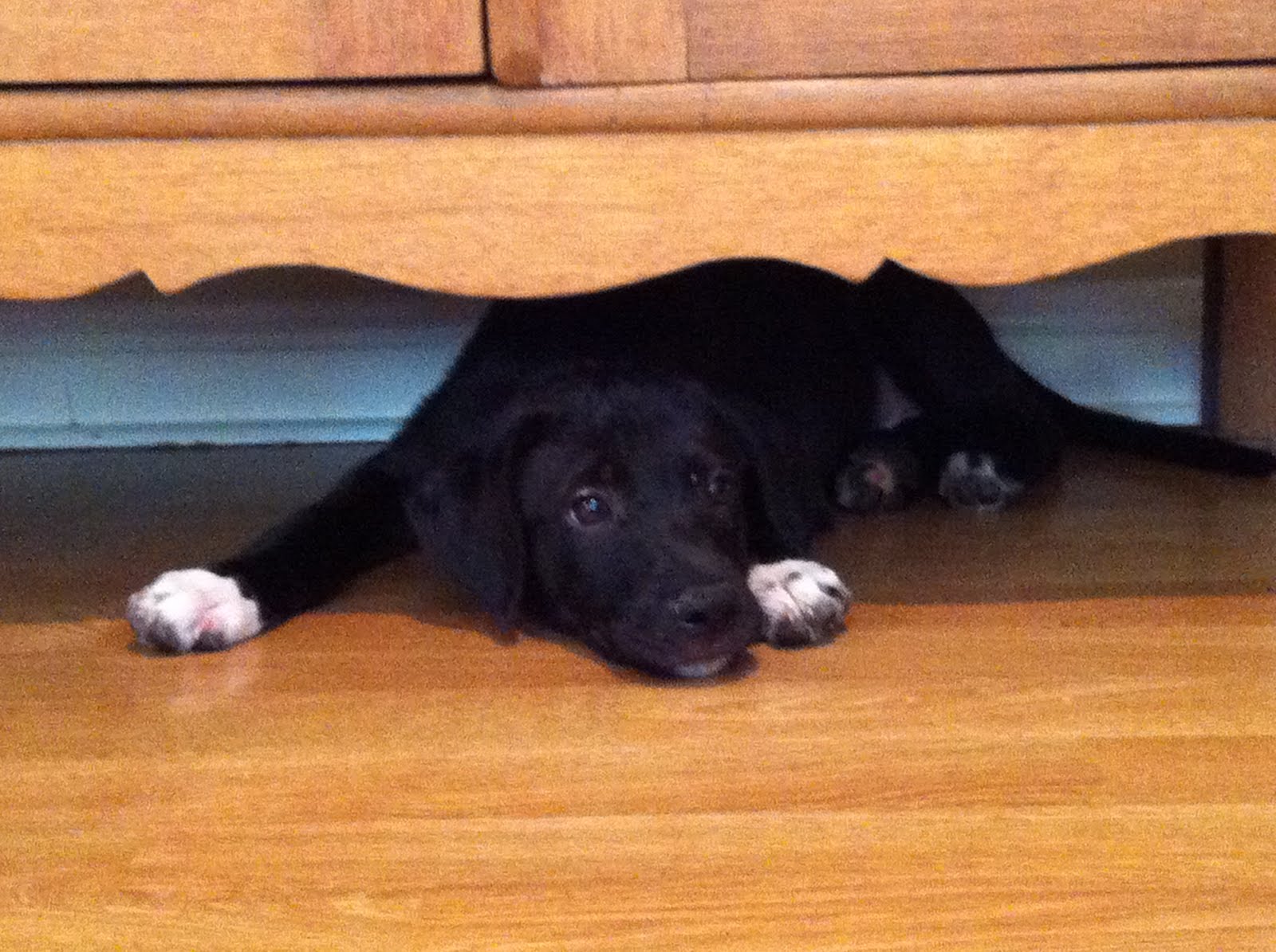 Powerhouse Weekend! | Fun, Fit and Fabulous!