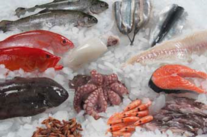 Pengantar Teknik Pangan : Proses Pengolahan Makanan