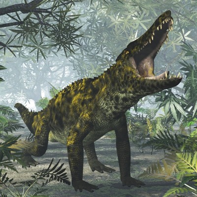 Planeta das feras : Uberabasuchus terrificus