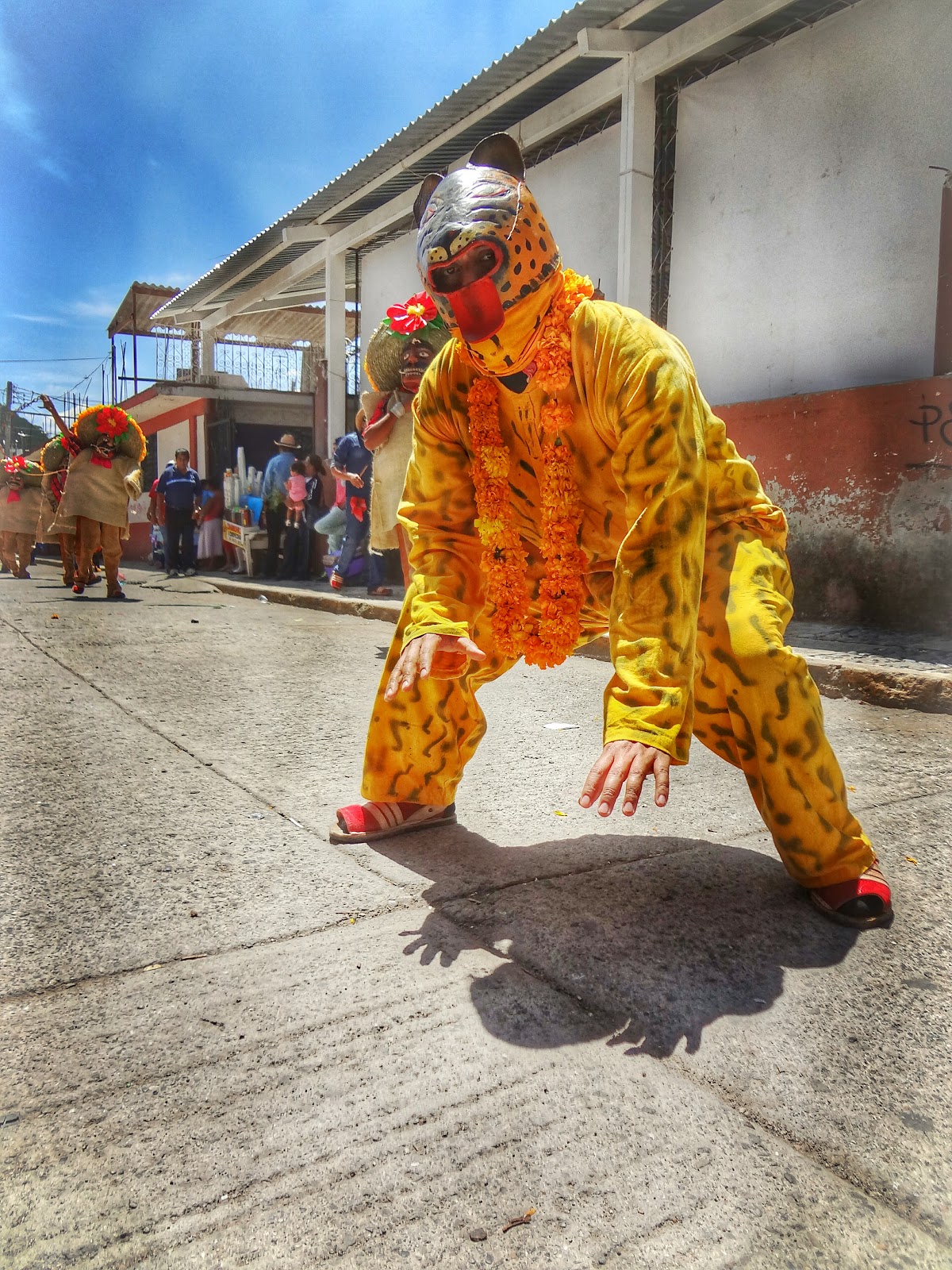 Tlacololeros De San Agustin: EL Tigre