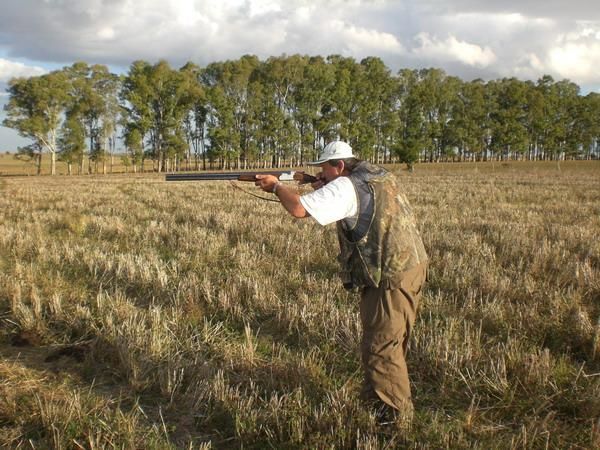 Minutos de Reflexión: octubre 2016