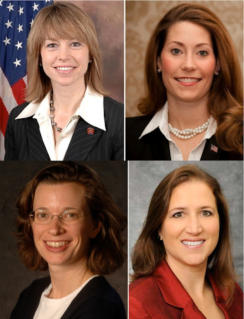 The Many Rantings of John: Senate Recruitment: The Democrats Great ...