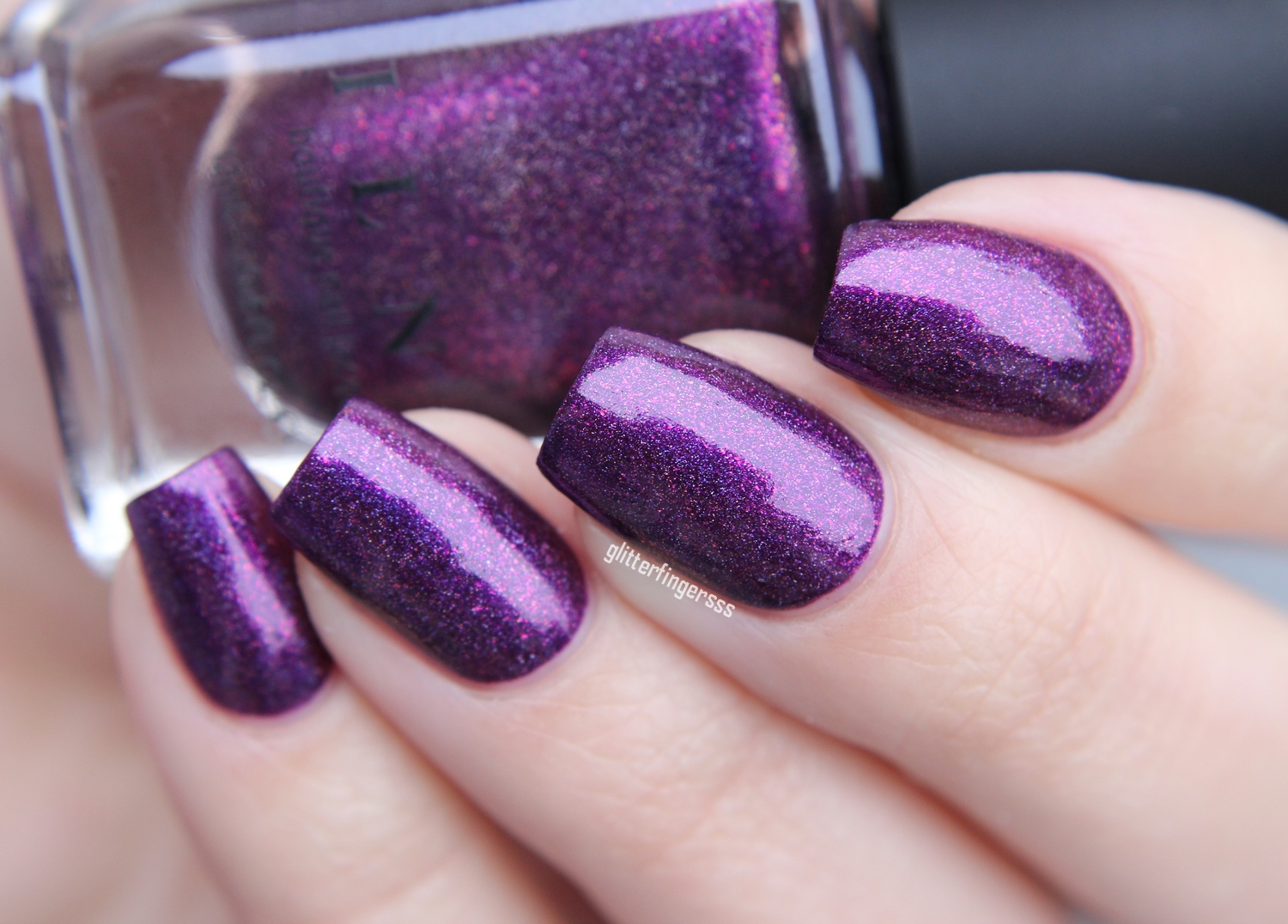 ILNP | Paper Route, Poetry, Glory, First Class ~ Glitterfingersss in ...