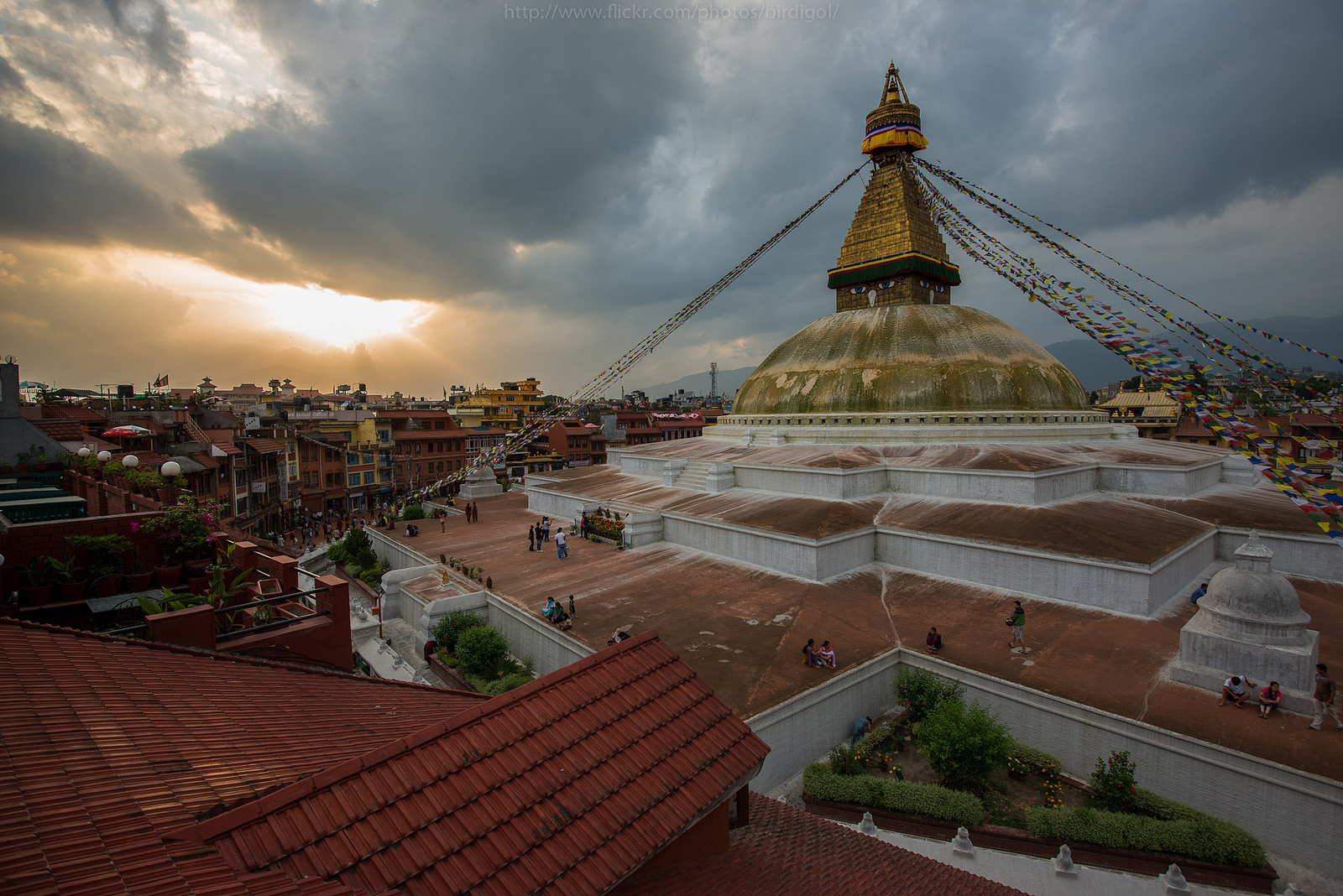 SHARE TWEET TELEGRAM WHATSAPP PIN IT SHARE