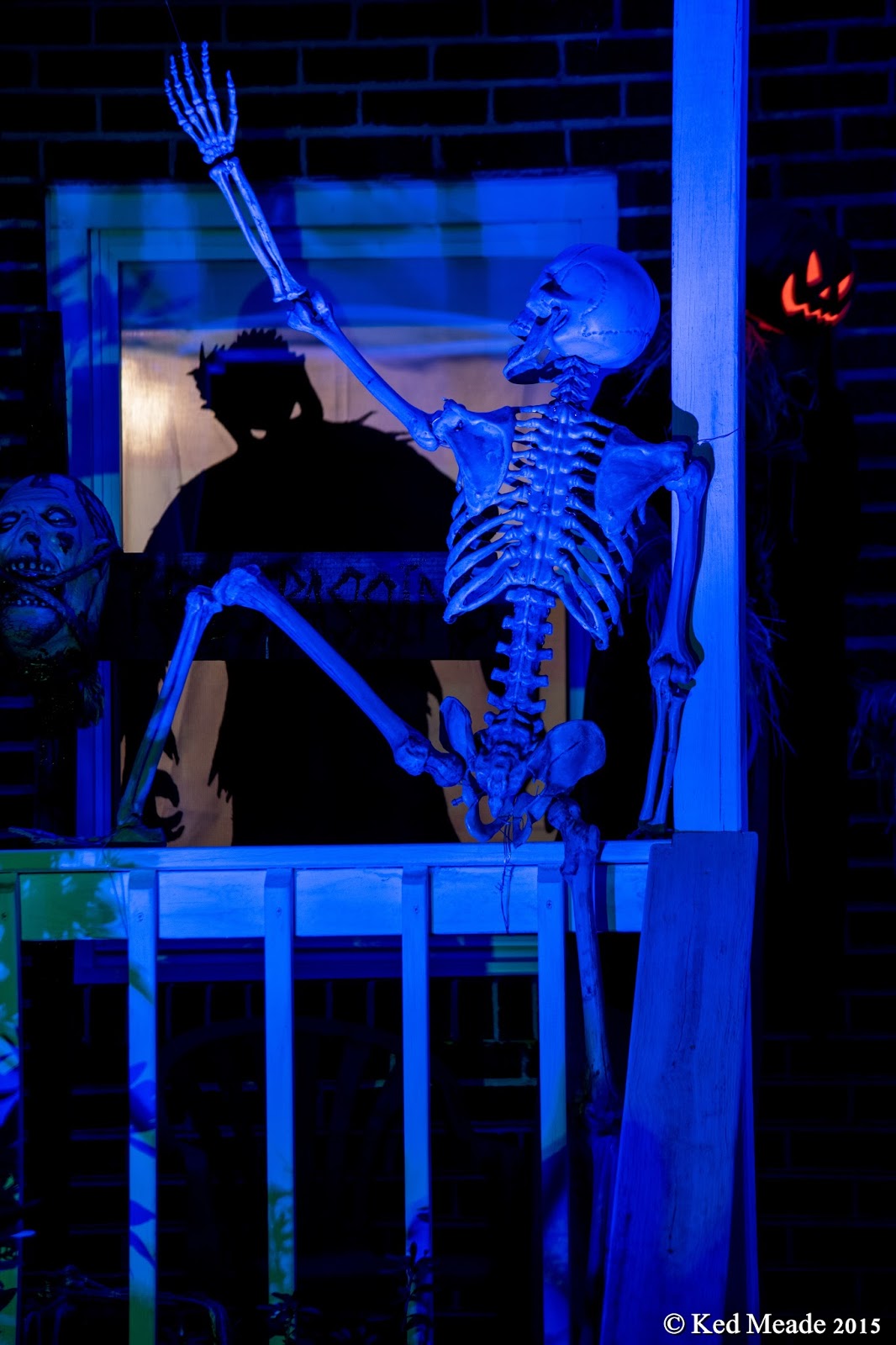 Something wicKED this way comes....: The Skeletons of Wicked Woods ...