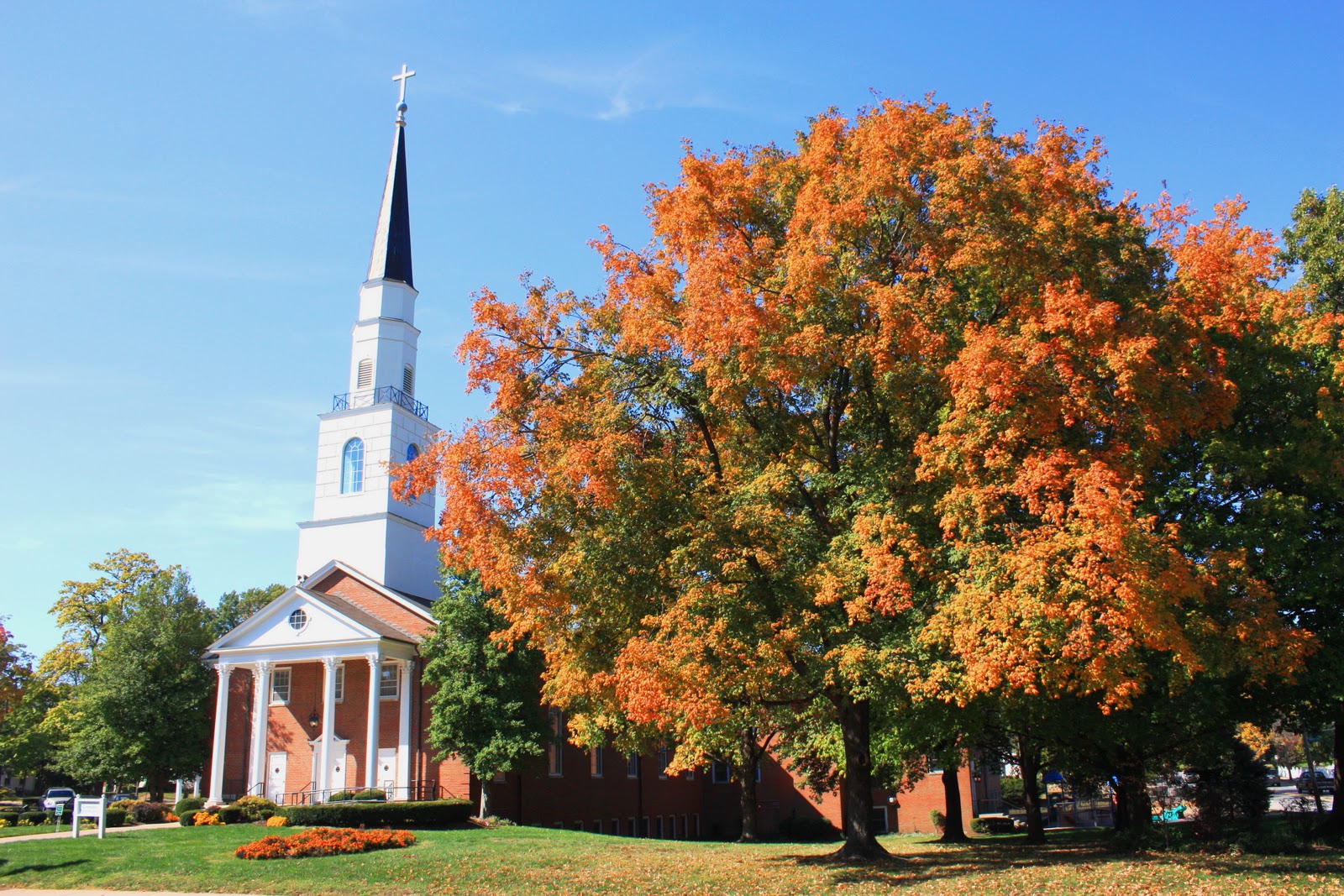 St. Louis: Through My Eyes: St. Louis Fall Color