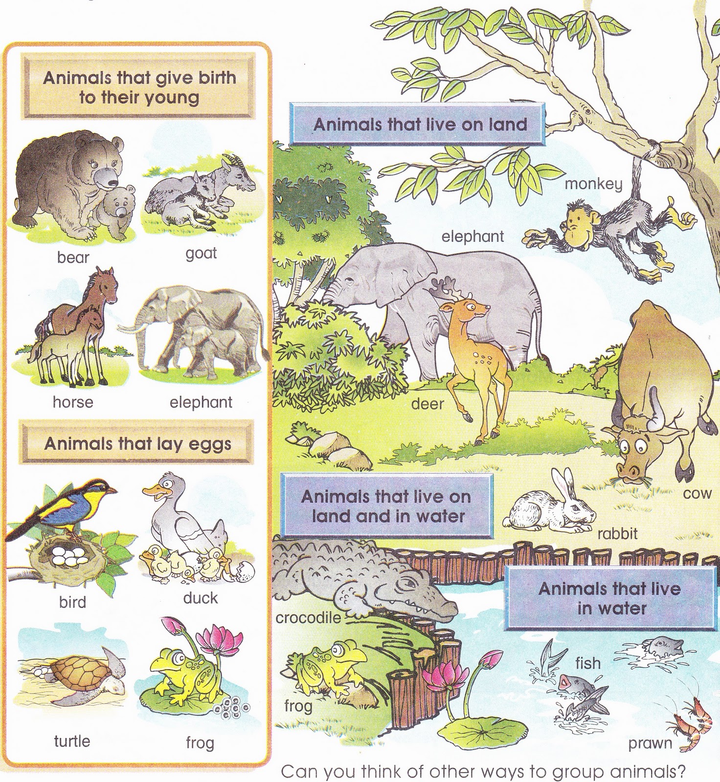 LIM LAI FONG (D20102043844) Science Year 3: Unit 1 : External Features ...