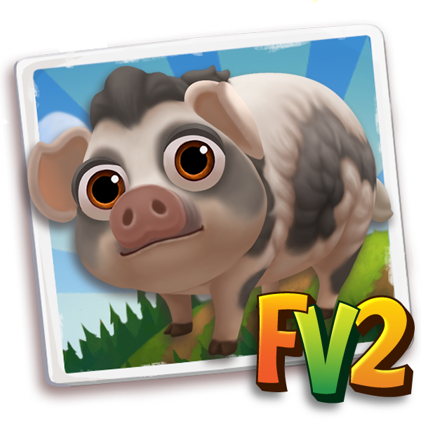 Farm Animals: Arapawa Pig