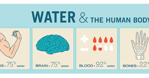 Water & the human body ~ Naturalishealthtips