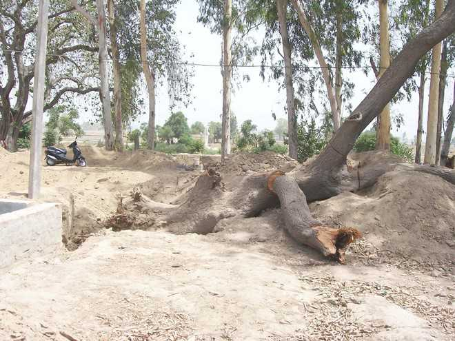 Fazilka Rocks: May 2016