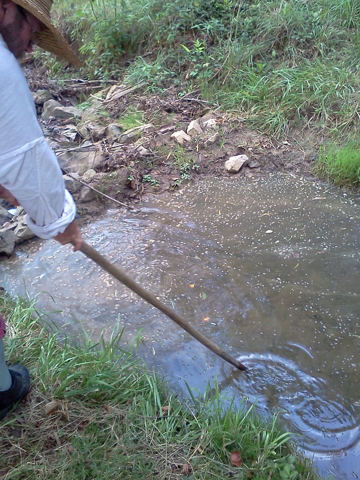 Frontier Culture Museum of Virginia: Retting Flax