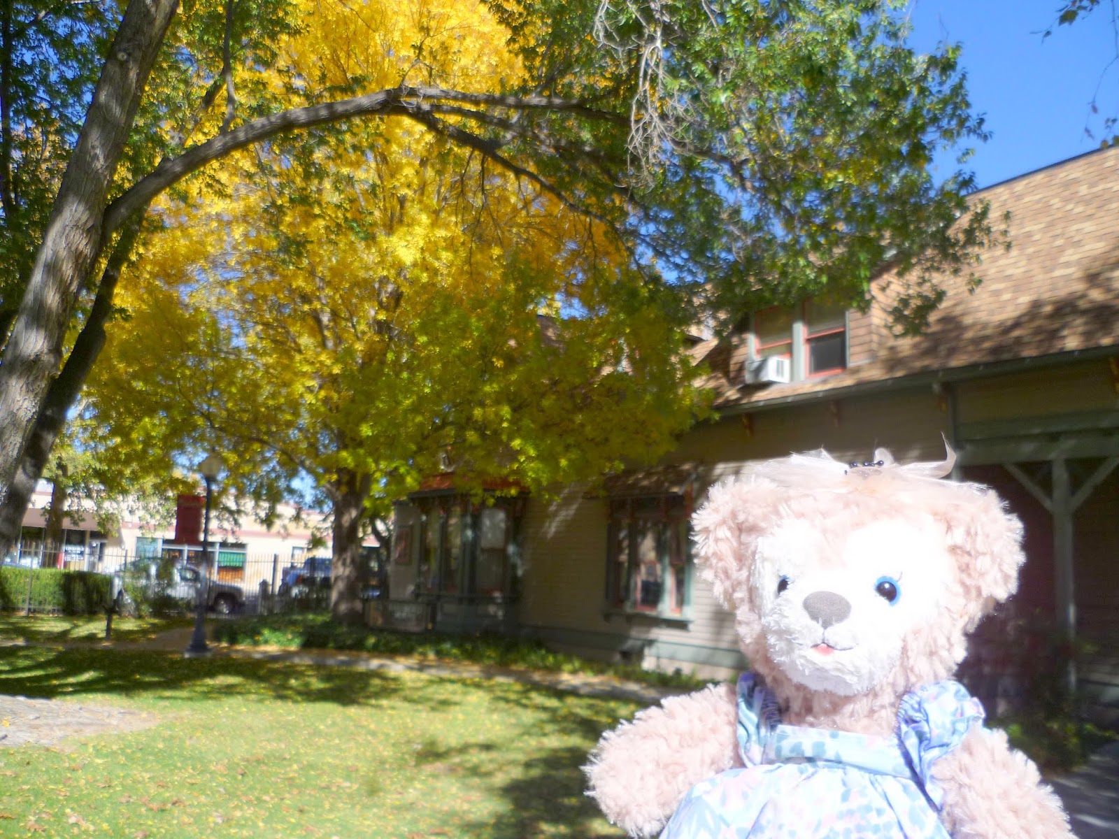 Daily Duffy: Stoplight Trees with Shellie May