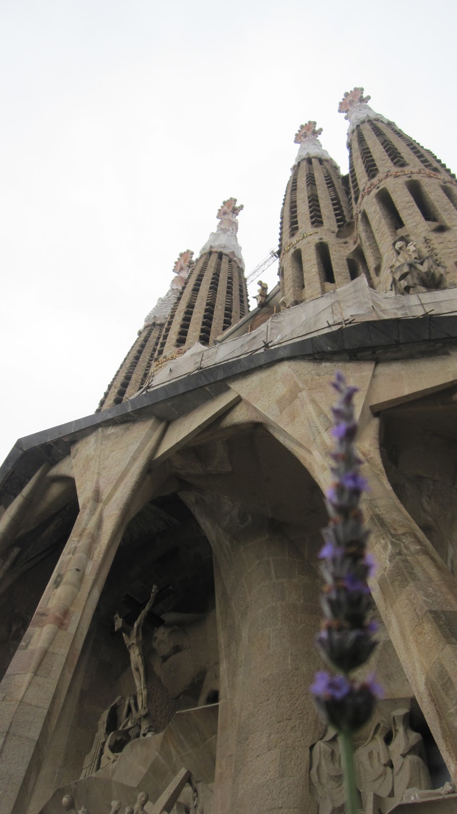 Caminante, no hay camino: La naturaleza en la obra de Gaudi/ Nature's ...