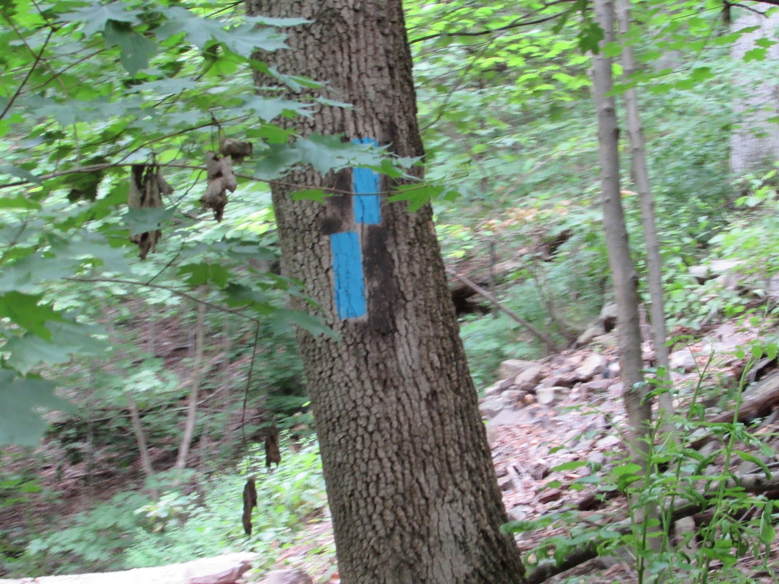 Standing Stone Trail and the Thousand Steps: Great Hike with Stunning ...