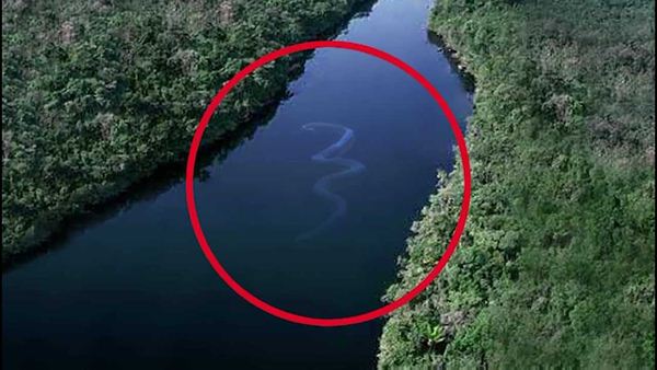 Misteri Sungai Amazon, Yang Sangat Beresiko Di Dunia ~ ZONA KONSPIRASI