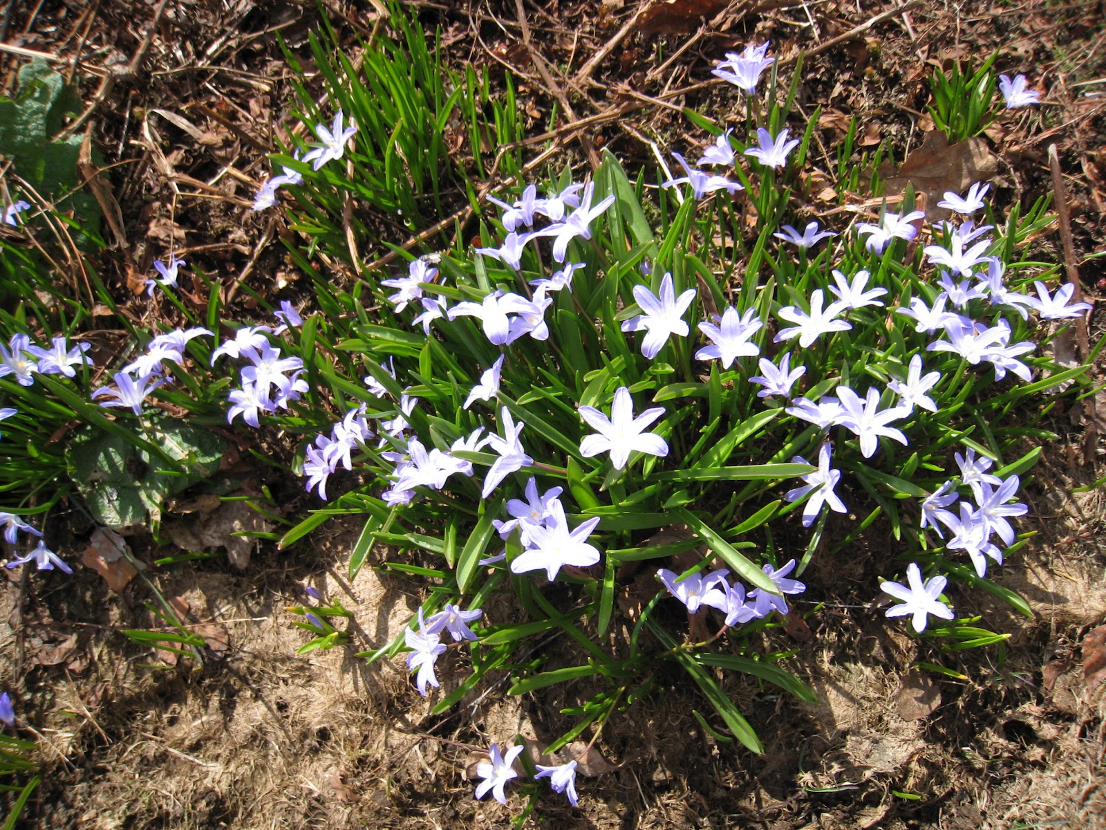 Kuva-Elma: Toukokuu-Aurinkopaiste