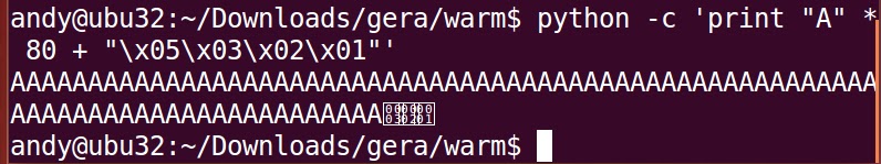 Viviry Tech | INFOSEC encyclopedia: Gera's Insecure Programming by example: Warming up on the ...