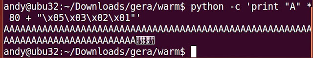 Viviry Tech | INFOSEC encyclopedia: Gera's Insecure Programming by example: Warming up on the ...