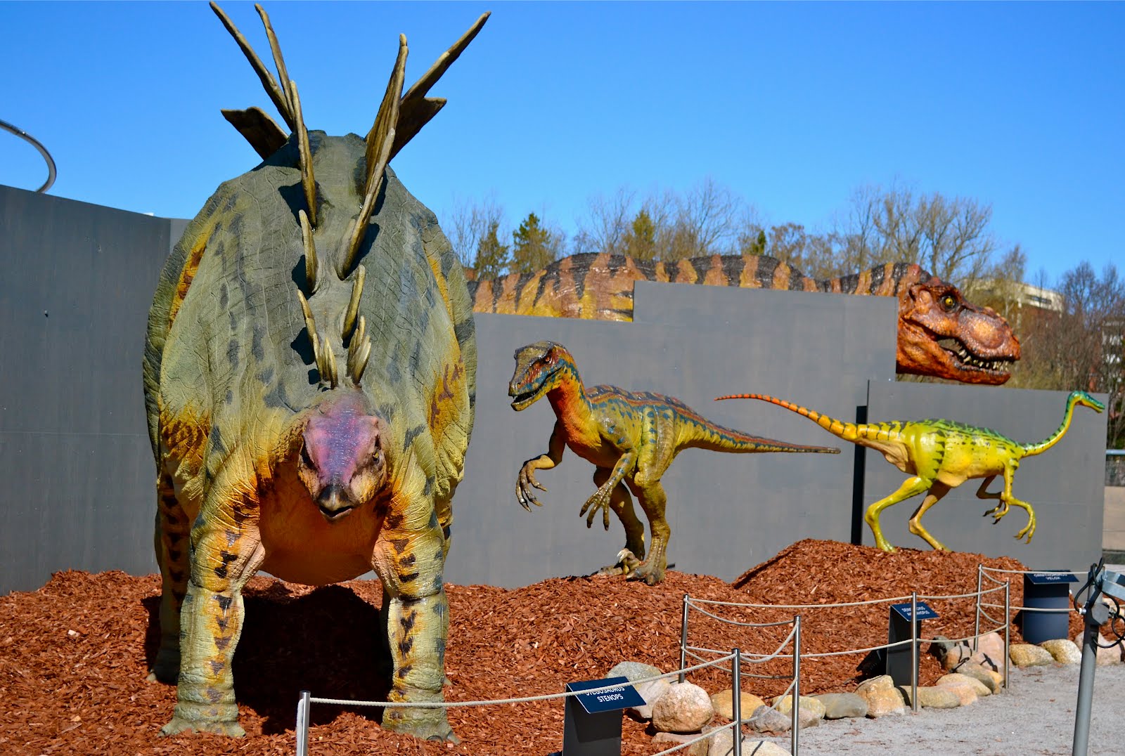 Ruusunmarja: The return of the Dinosaurs