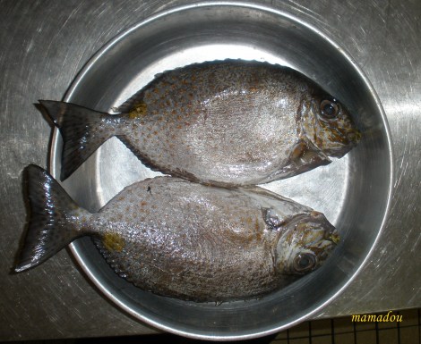 Rakan 1Klik: Ikan Kitang? Ikan Belais?