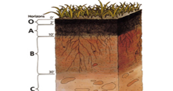 Profil Tanah menurut Ilmu Geografi