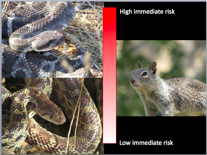 Strike, Rattle, & Roll: May 2014