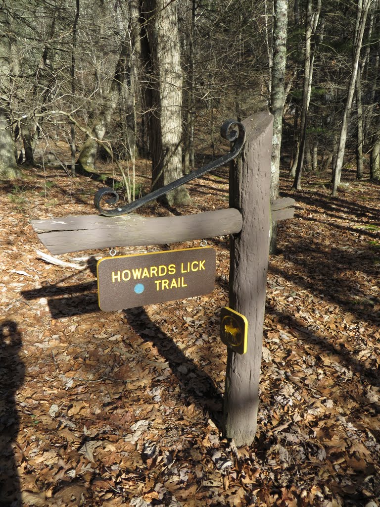 Skookum Traveler: Big Ridge and Cranny Crow (WV)