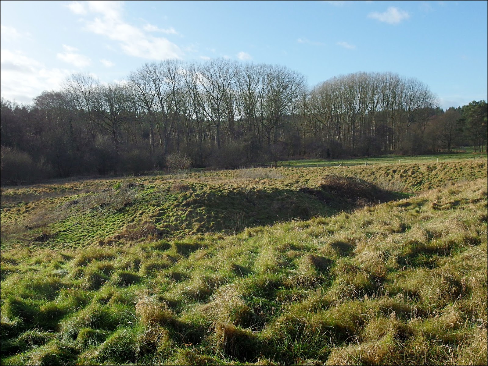 "By Stargoose And Hanglands": Santon Downham