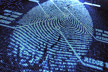 Portable Forensics: PFP 소개(1) - 디지털 포렌식 전문가