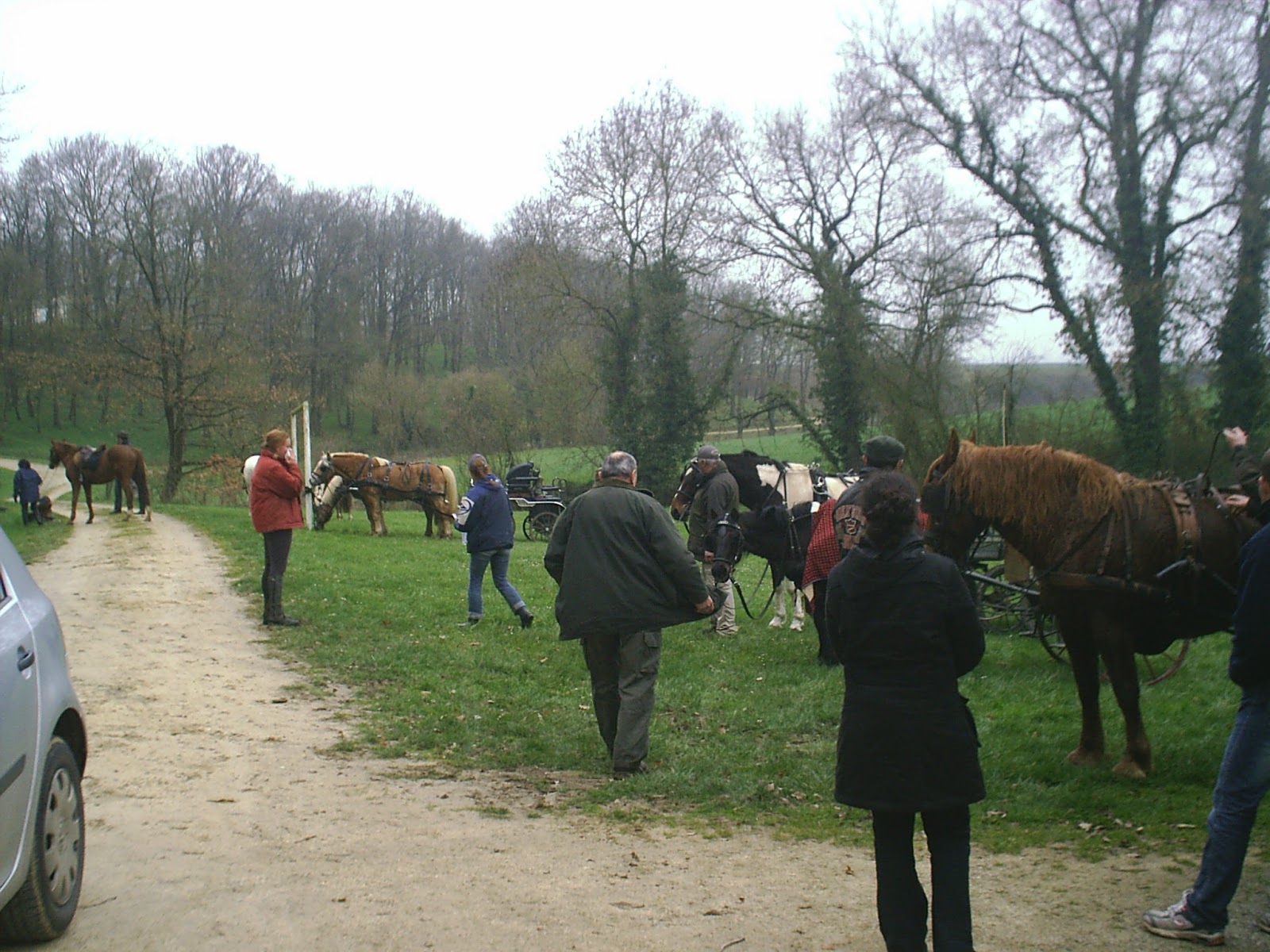 Attelages et Cavaliers des Trois Lacs: rando chez Claude Frémont le 24 ...