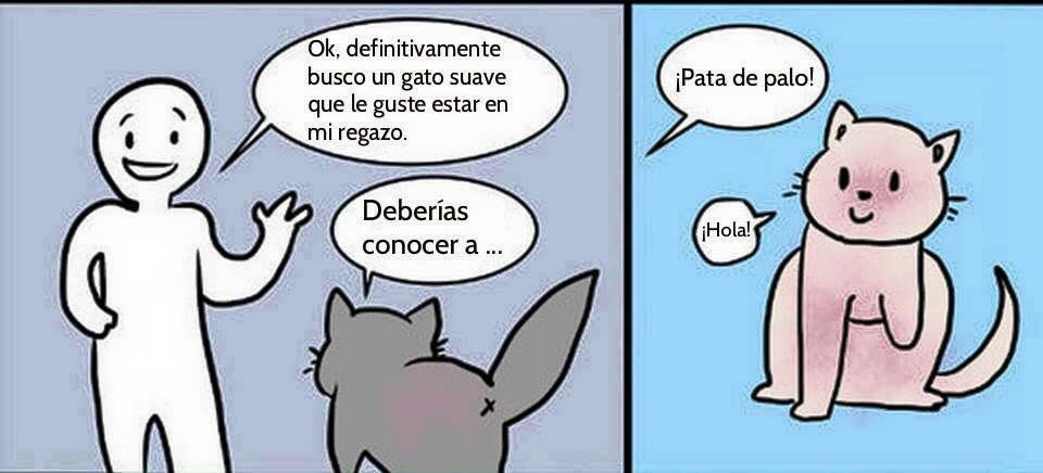 Adopta con el corazón