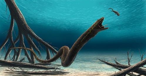 Blog de la Vida Prehistórica: Ophiderpeton