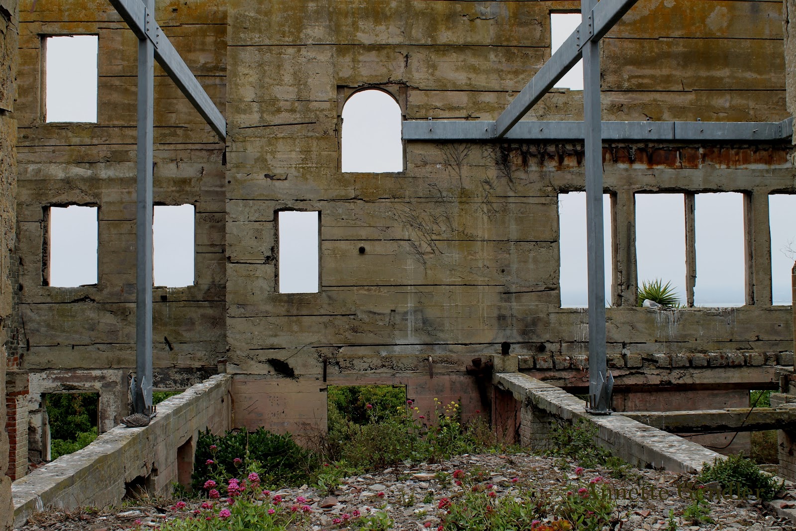 Photo Essay: Alcatraz - Annette Gendler