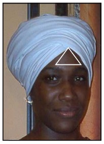 Moors In America | Moorish Americans: Science Behind The Moorish ...