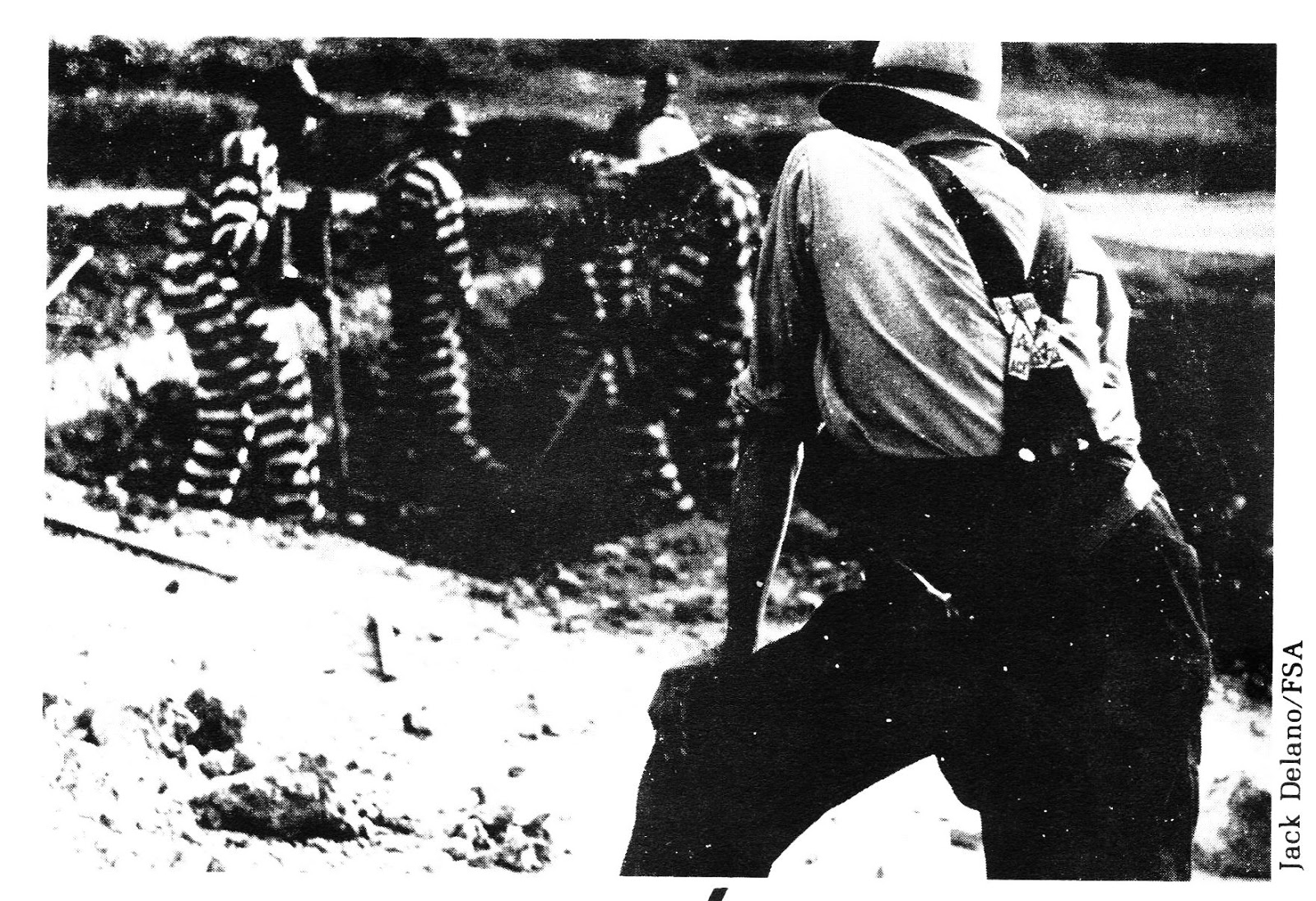 History and the Current Context : Miner's Insurrections / Convict Labor