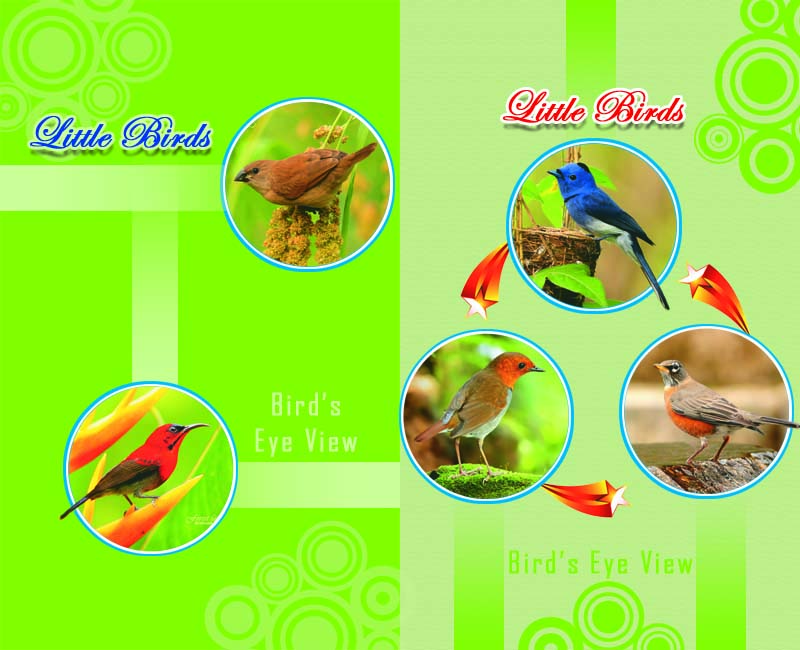 note book wrappers designs