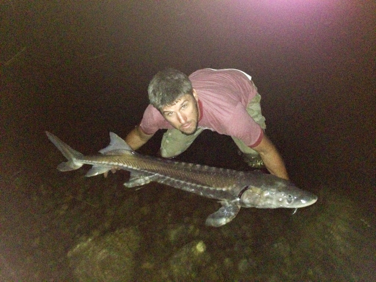 A Day in the Life of the Wood's: Snapshot #852: Snake River Sturgeon