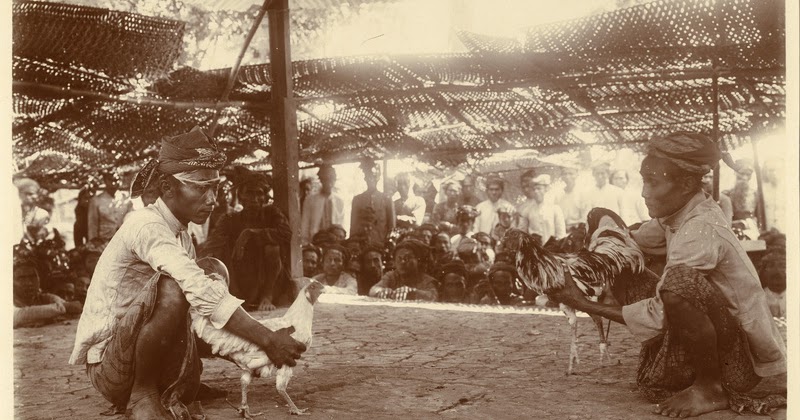 Indonesia Zaman Doeloe: Sabung ayam di Bali sekitar tahun 1922