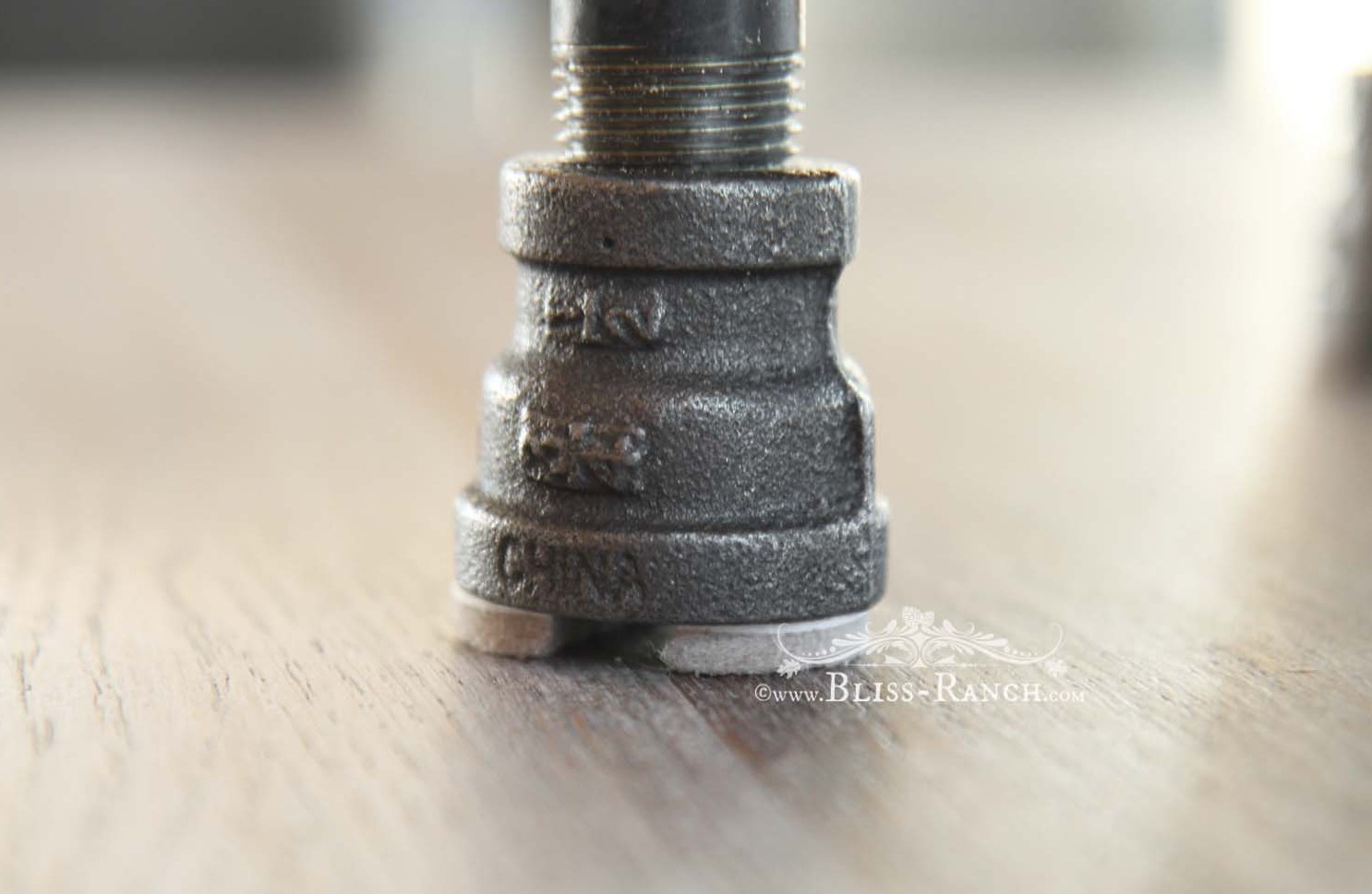 Bliss Ranch: Pipe Leg Dog Feeder, Mo's Diner