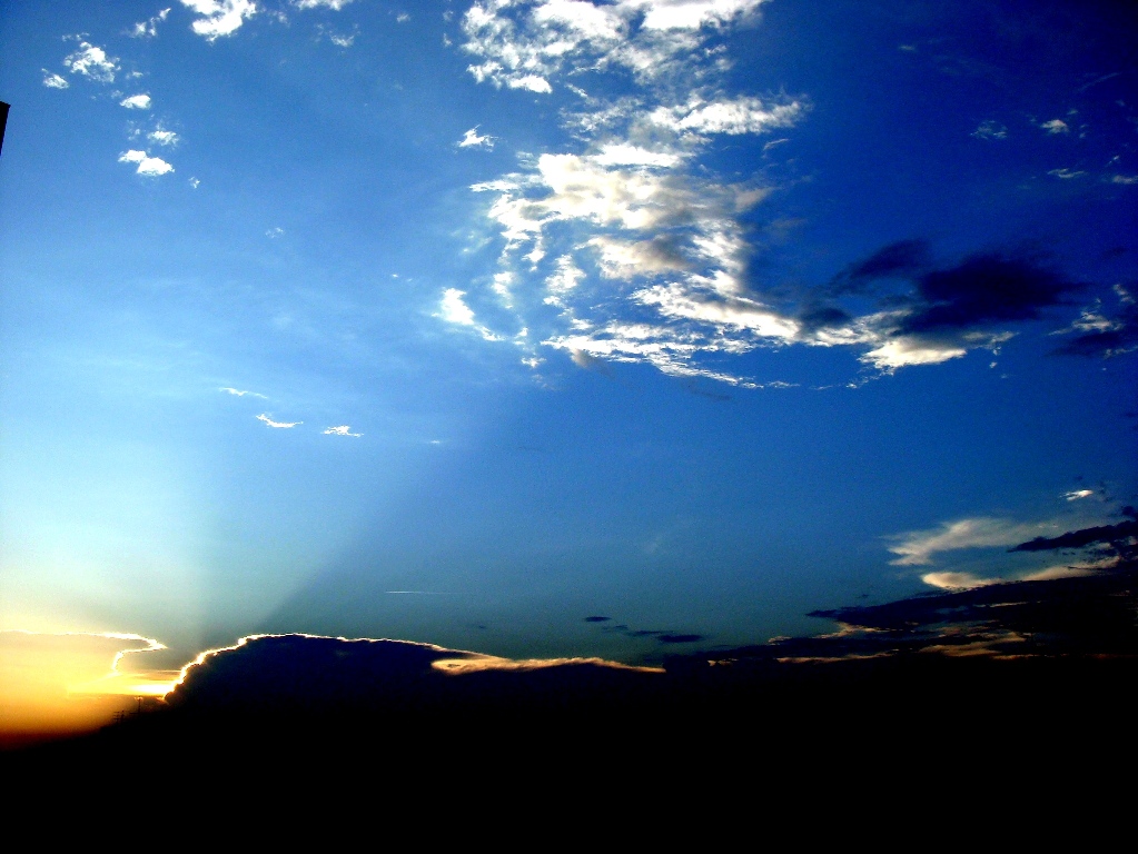 Natureza...lindaaaaaaaa!!: Azul...azul...azulzinho... TEIA AMBIENTAL ...