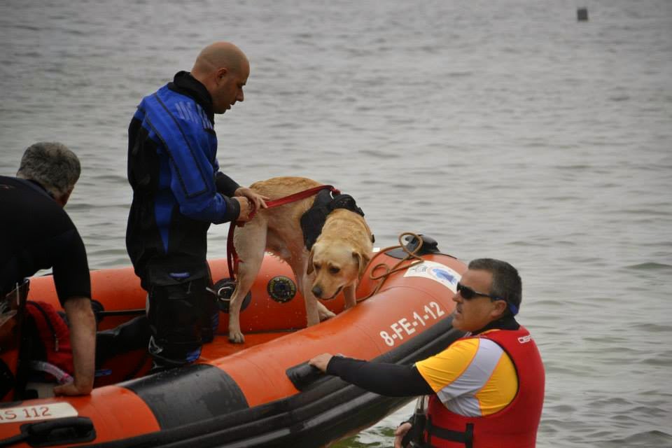 CA.SA.GA PERROS DE RESCATE: 2015