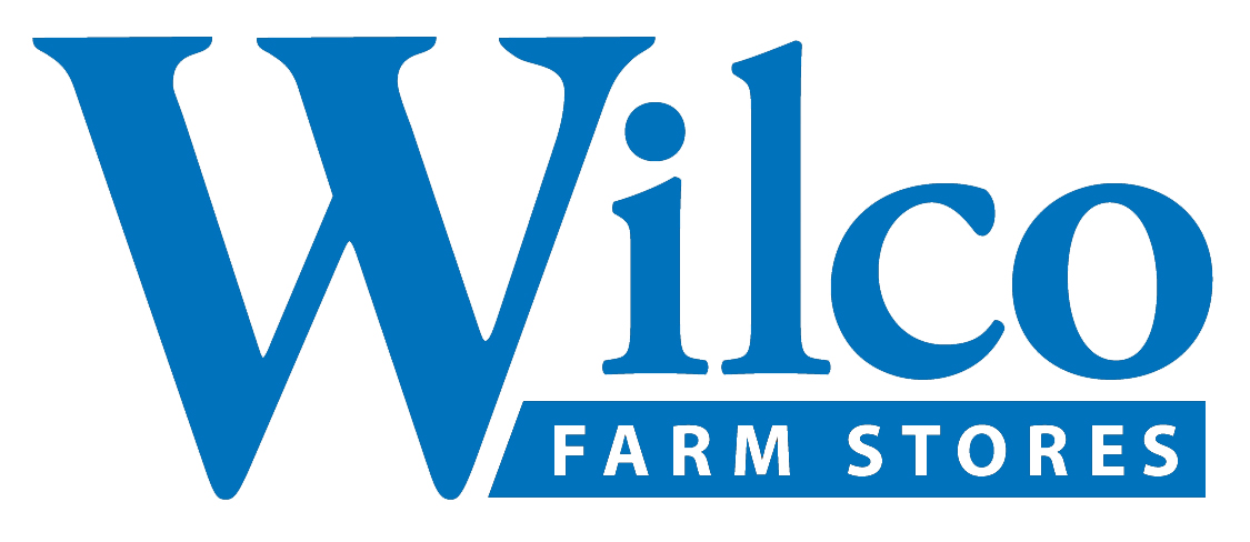 Harvest in the Garden: September 2011