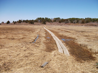 Hike Cape Cod: John Wing Trail, Brewster MA.