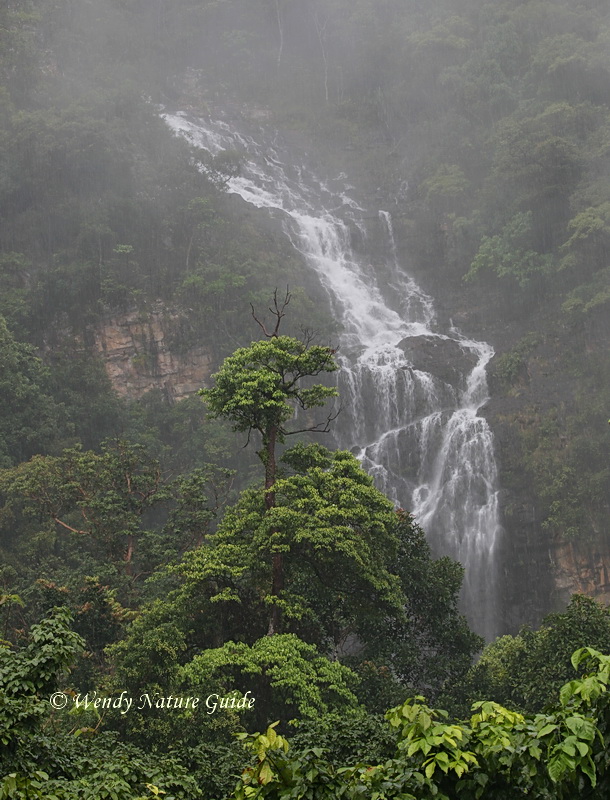 Wendy Nature Guide: Temurun Waterfall as Beautiful as Ever