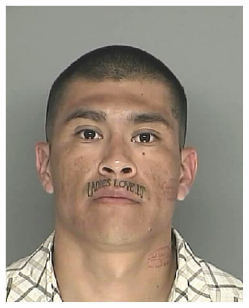 WebPicZ: Smile, you're under arrest